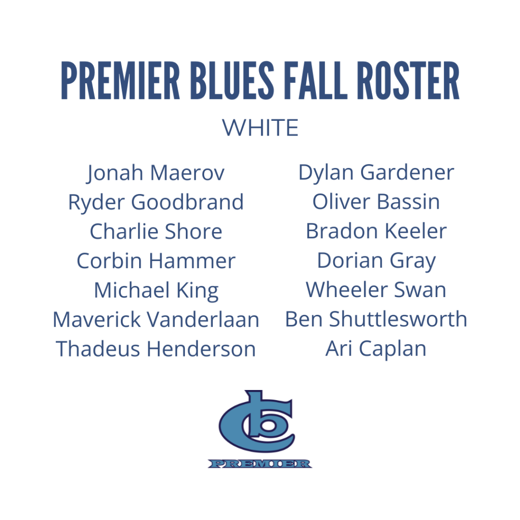 Babe Ruth Calgary Baseball - U16 Premier Team - Babe Ruth Calgary Baseball