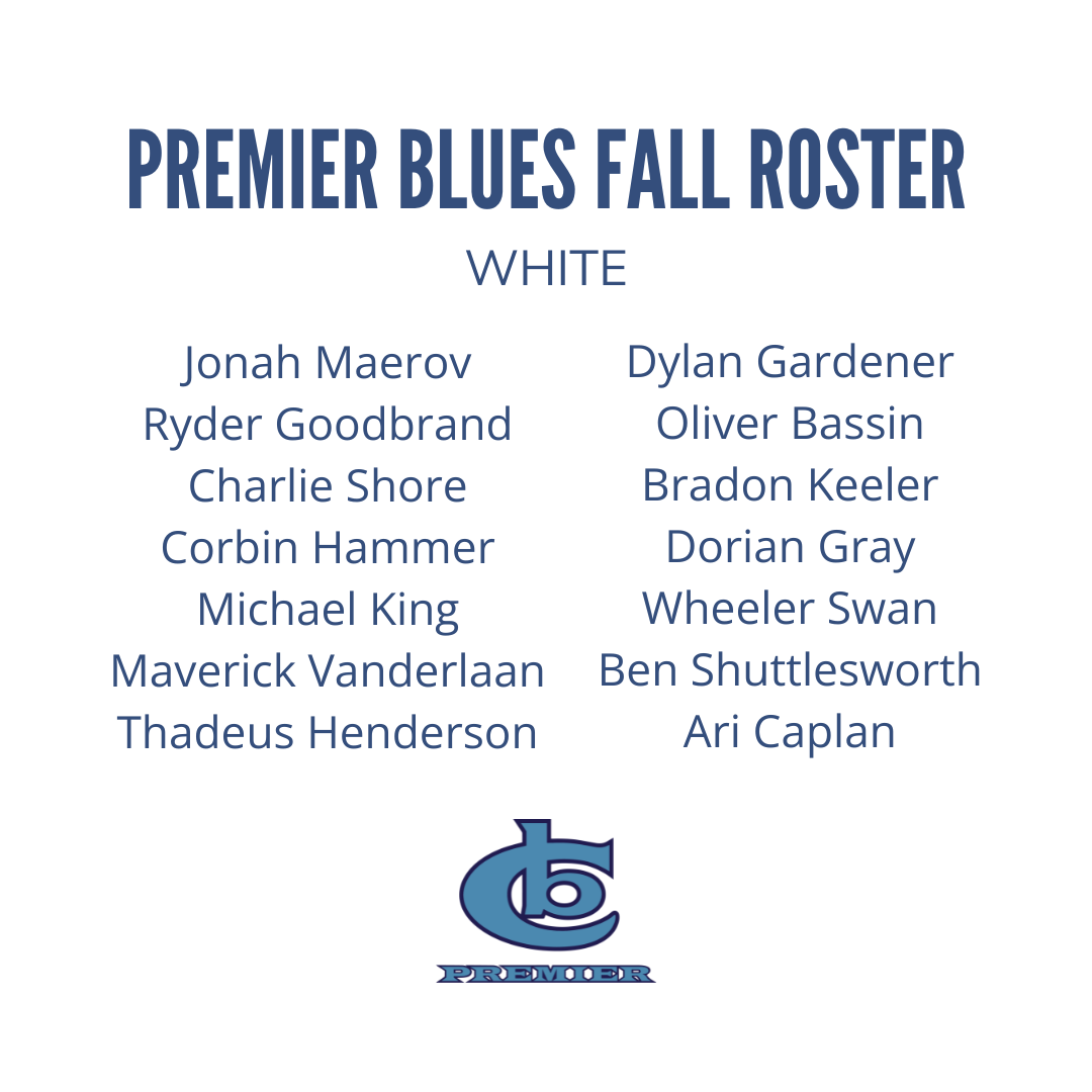 Babe Ruth Calgary Baseball - U16 Premier Team - Babe Ruth Calgary Baseball